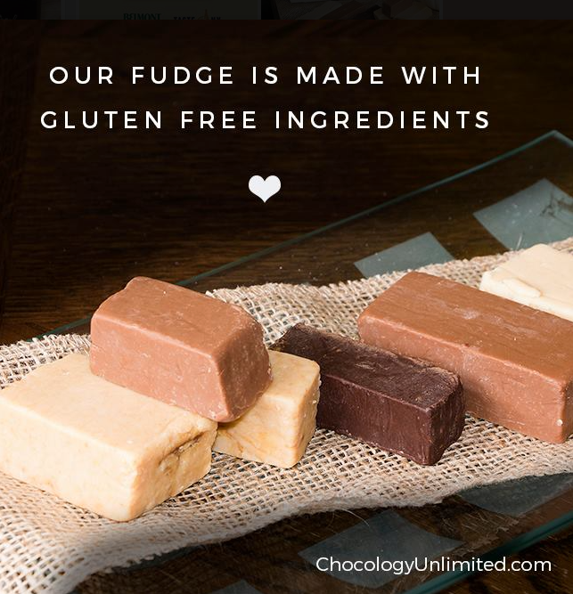 Fat-Ass Fudge as seen on Shark Tank Belgian chocolate - Chocology Unlimited